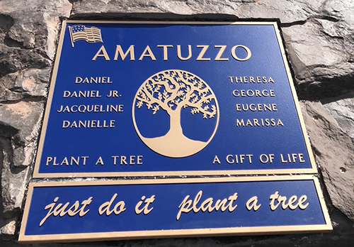 Memorial Tree Plaques | Tree dedication plaques - All Star Bronze
