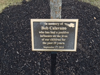 Memorial Tree Plaques | Tree dedication plaques - All Star Bronze
