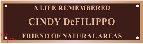 Memorial Bench Plaques | Bench Signs - All Star Bronze